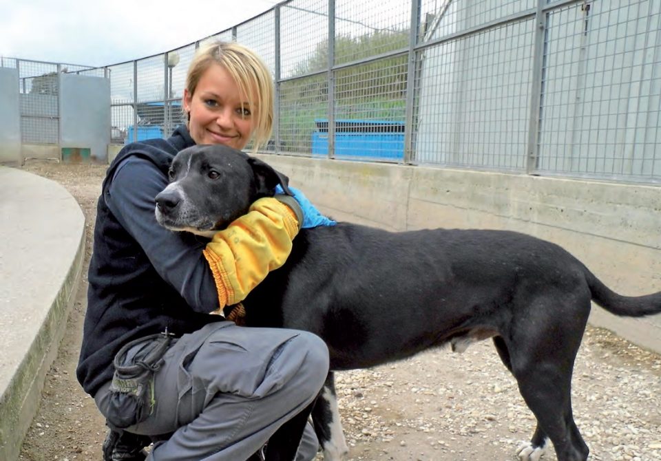 I cani antidroga vengono da Muratella - Quattrozampe