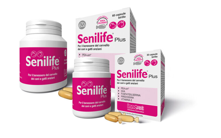 Senilife® per un cervello in forma! - Quattrozampe